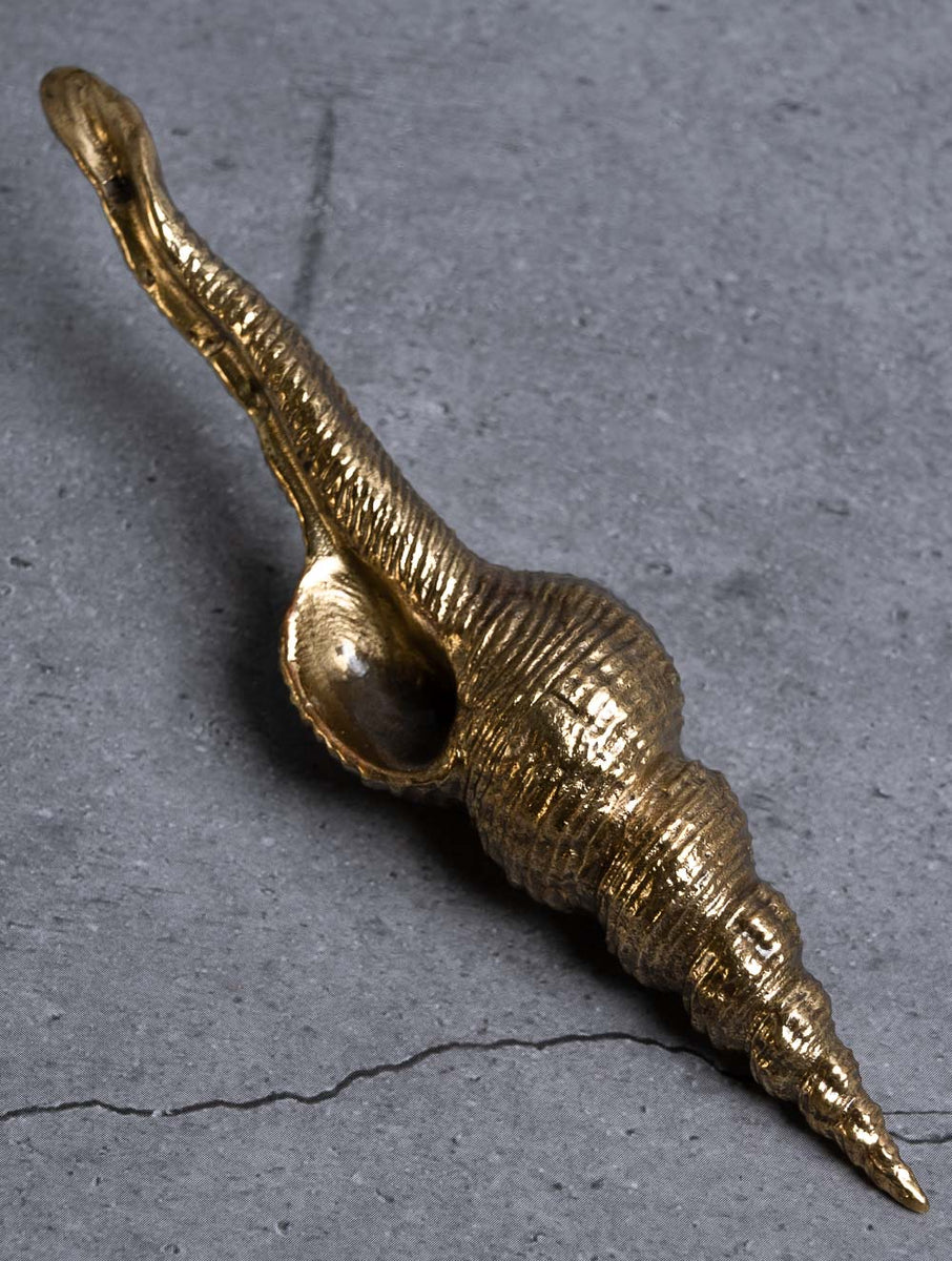 Buy Exclusive Brass Bowl Curios / Paper Weights - Slim Conch Shells ...