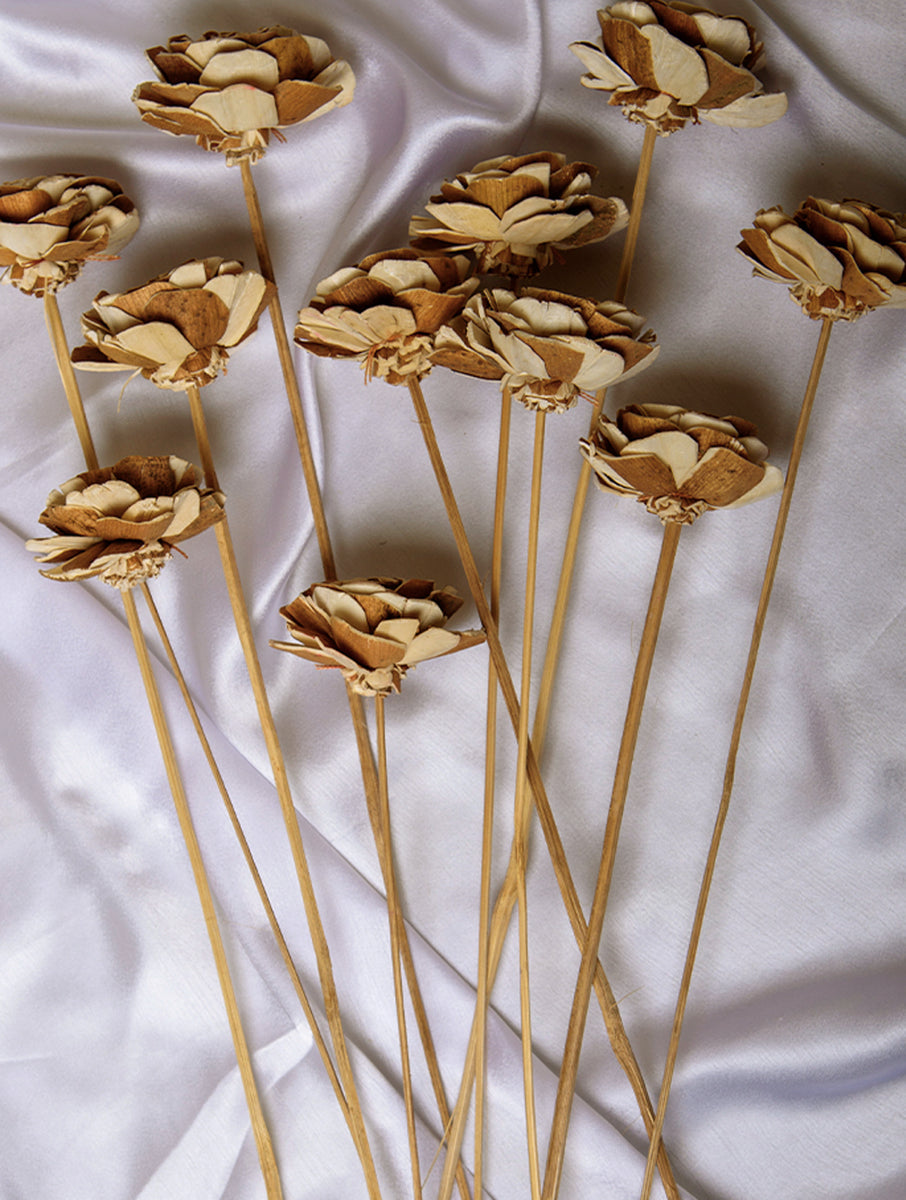 Buy Handcrafted Shola Flowers - Wild Wood Roses (Bunch of 11) Online
